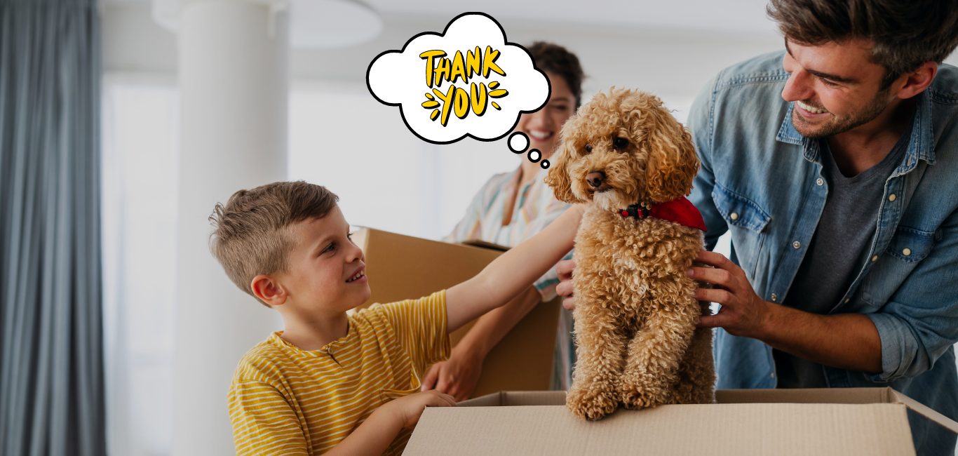 Safe and Reliable Pet Relocation Services for Stress-Free Moves